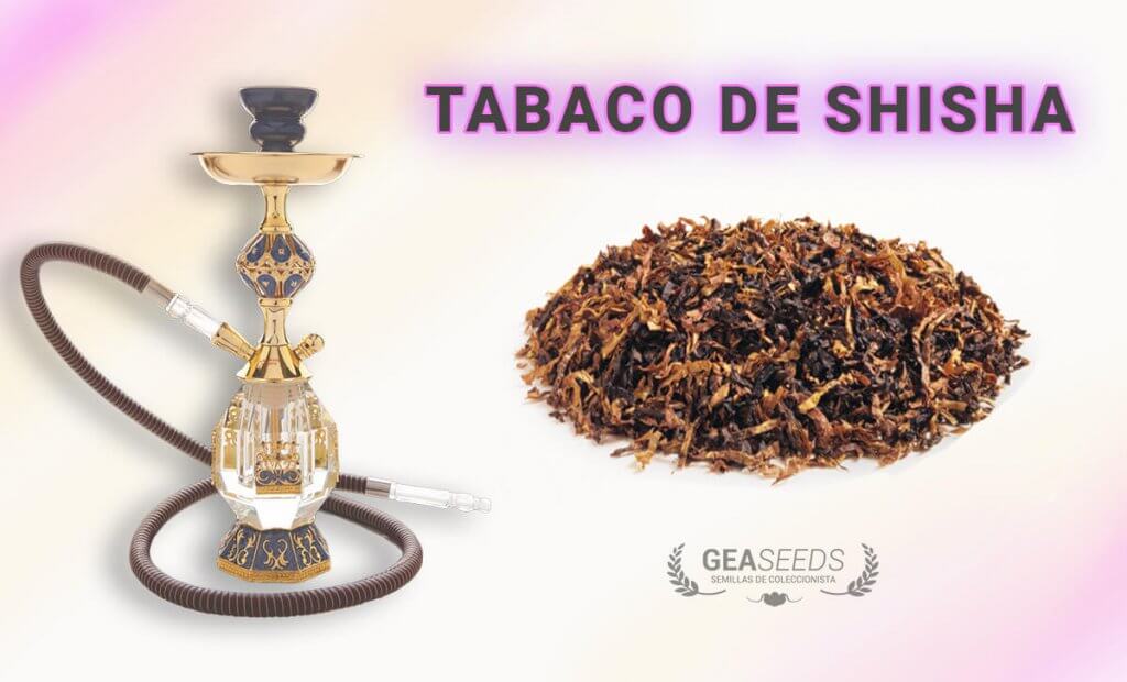 Tabaco De Sabores Para Cachimba O Shisha