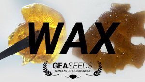 What is Wax? How is it made? What is its effect?