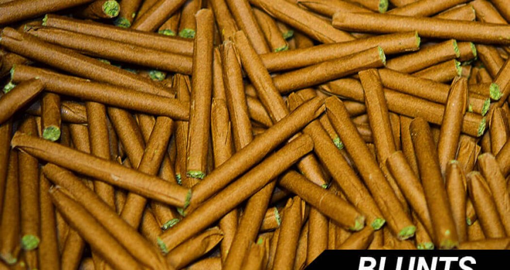 Cannabis blog - Weed News by GeaSeeds