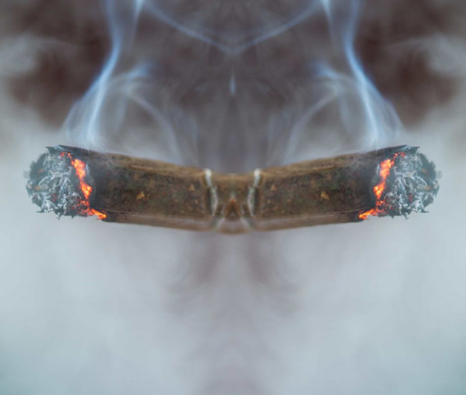 Cannabis blog - Weed News by GeaSeeds