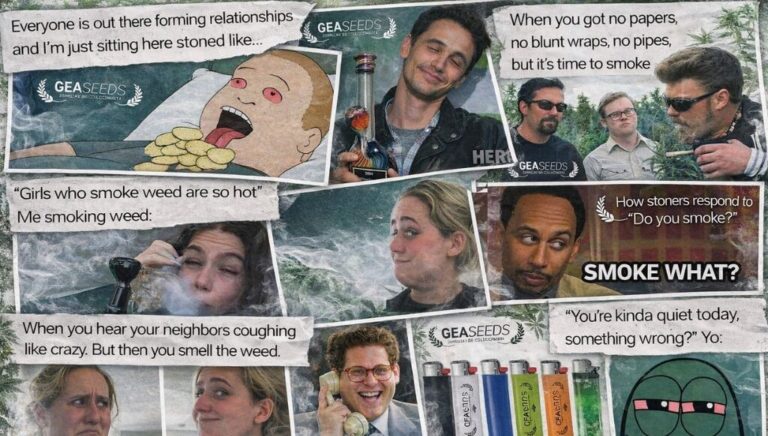 Weed Memes: The Best And Funniest Cannabis Memes 2026
