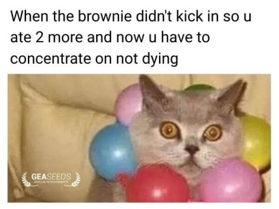 Weed Memes: The Best And Funniest Cannabis Memes 2026