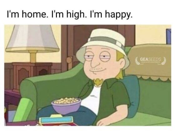 Weed Memes: The Best And Funniest Cannabis Memes 2026