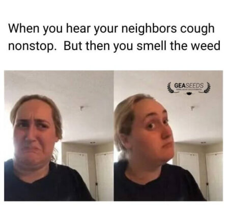Weed Memes: The Best And Funniest Cannabis Memes 2026
