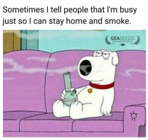 Weed Memes: The Best And Funniest Cannabis Memes 2026