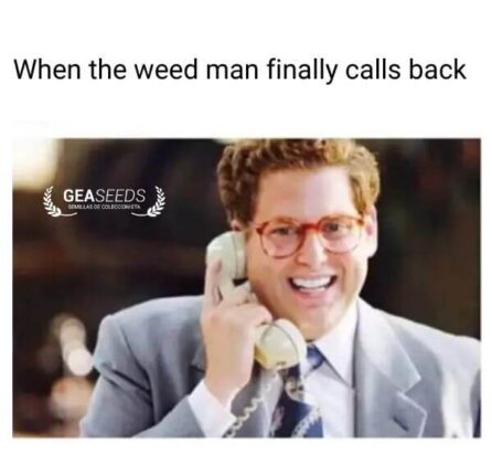Weed Memes: The Best And Funniest Cannabis Memes 2026